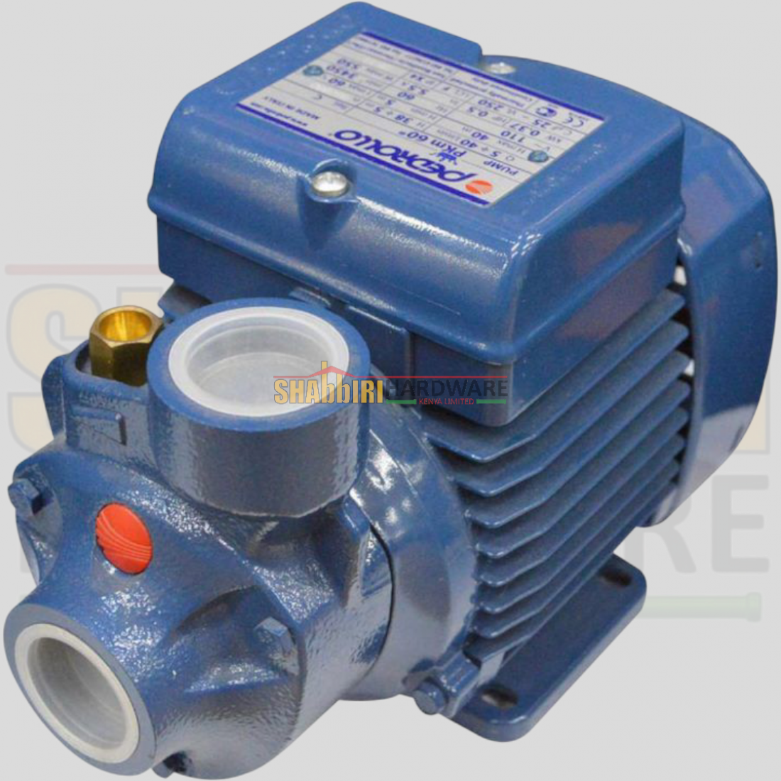 Pedrollo Water Pump 0.5 HP – Energy Efficient | Shabbiri Hardware