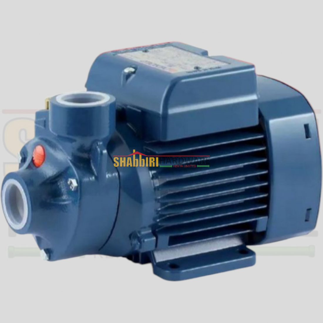 Pedrollo Water Pump 0.5 HP – Energy Efficient | Shabbiri Hardware