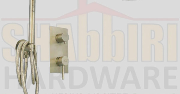 5 Way Concealed Shower Mixer (SS304) – Luxury Shower Control | Shabbiri ...