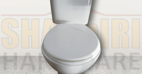 Half Set Close Couple Toilet – Compact Bathroom Solution | Shabbiri ...